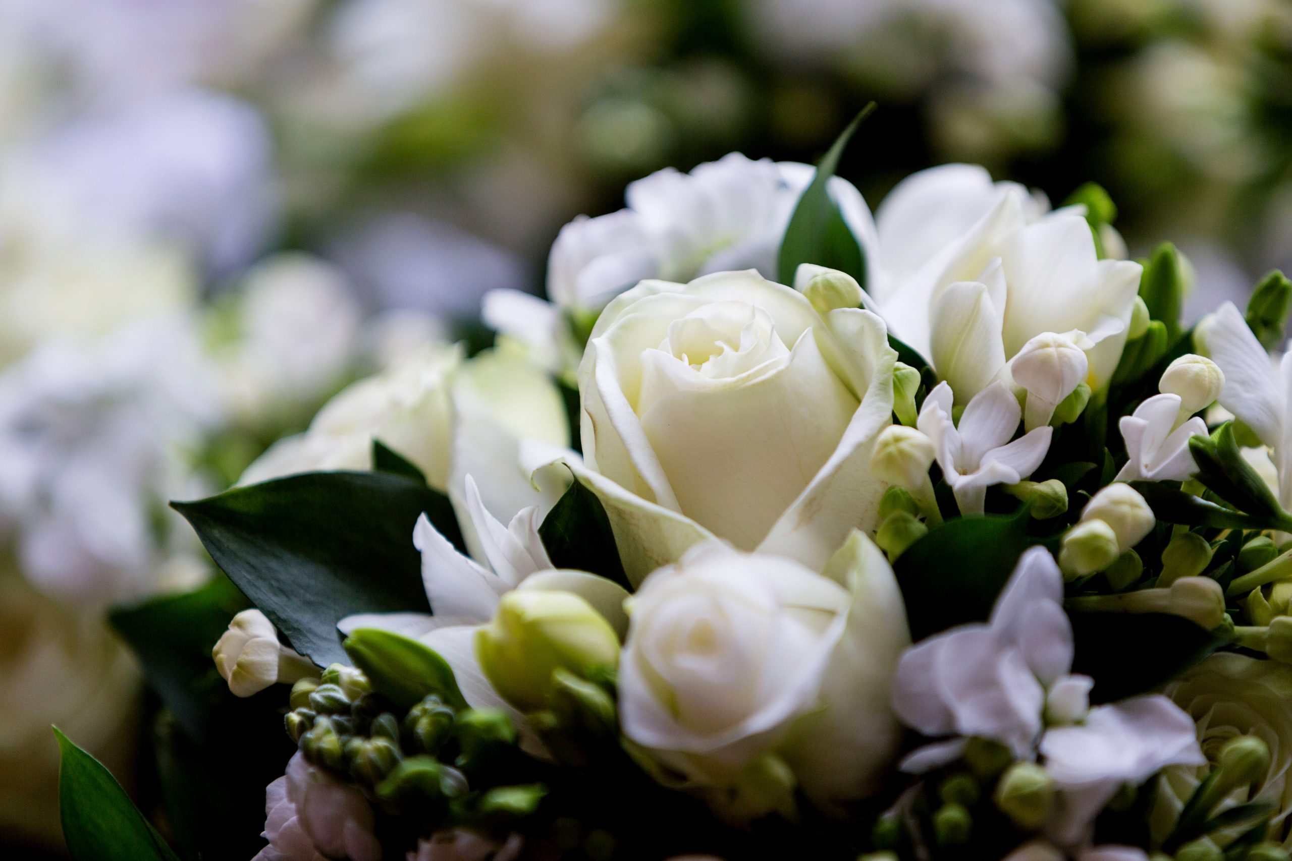 Sundridge Park Manor | Hayley & Will | Charlotte King Photography